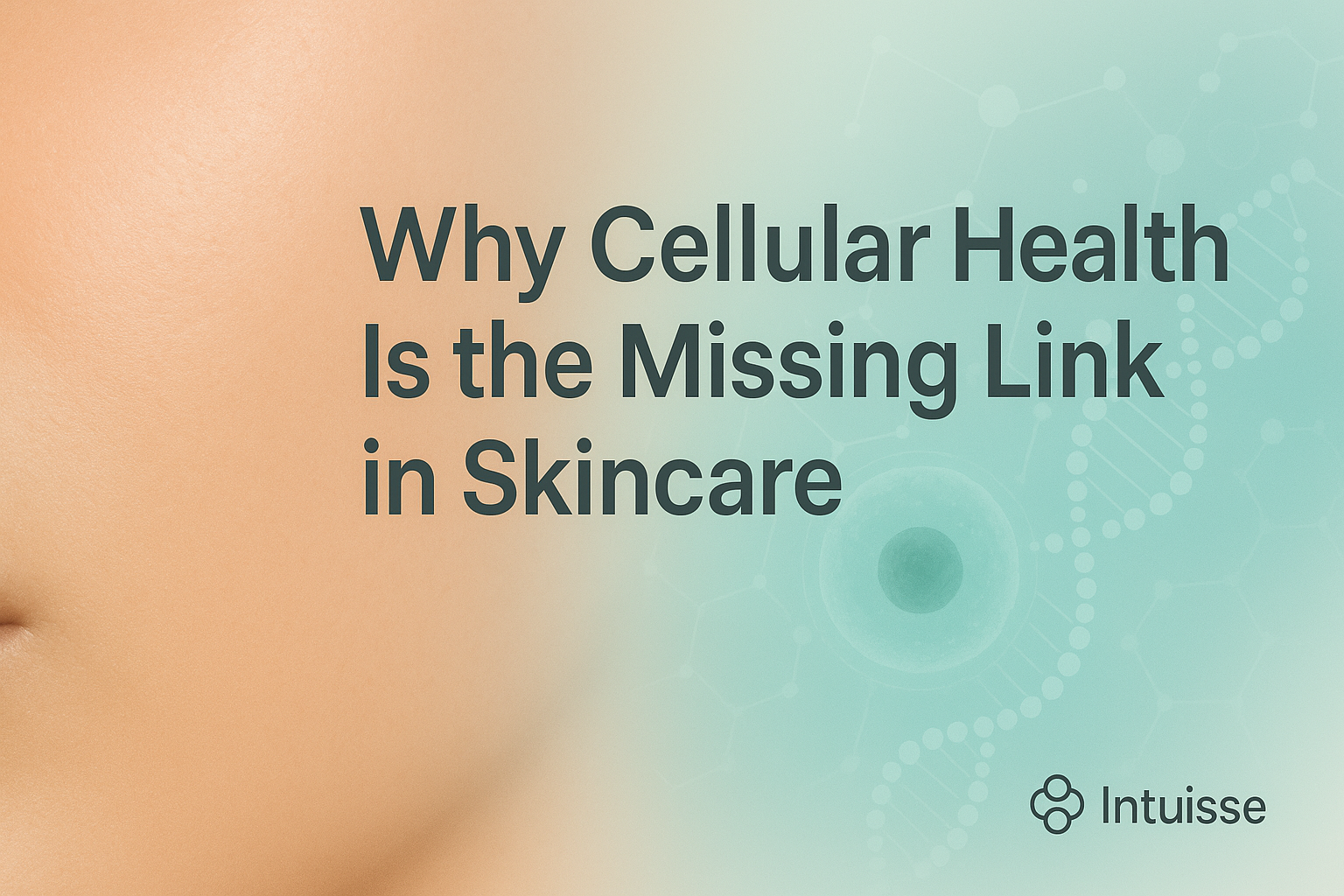 Why Cellular Health Is the Missing Link in Skincare – Intuisse